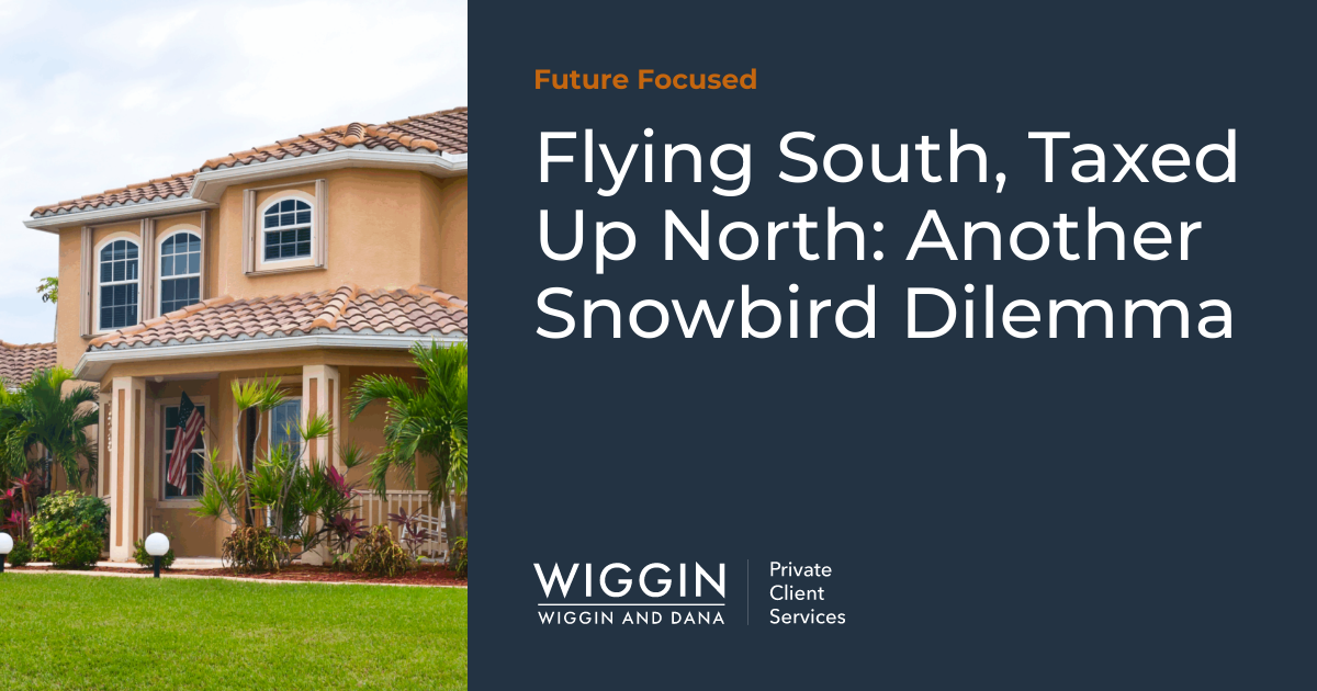 Flying South, Taxed Up North: Another Snowbird Dilemma | Future Focused ...