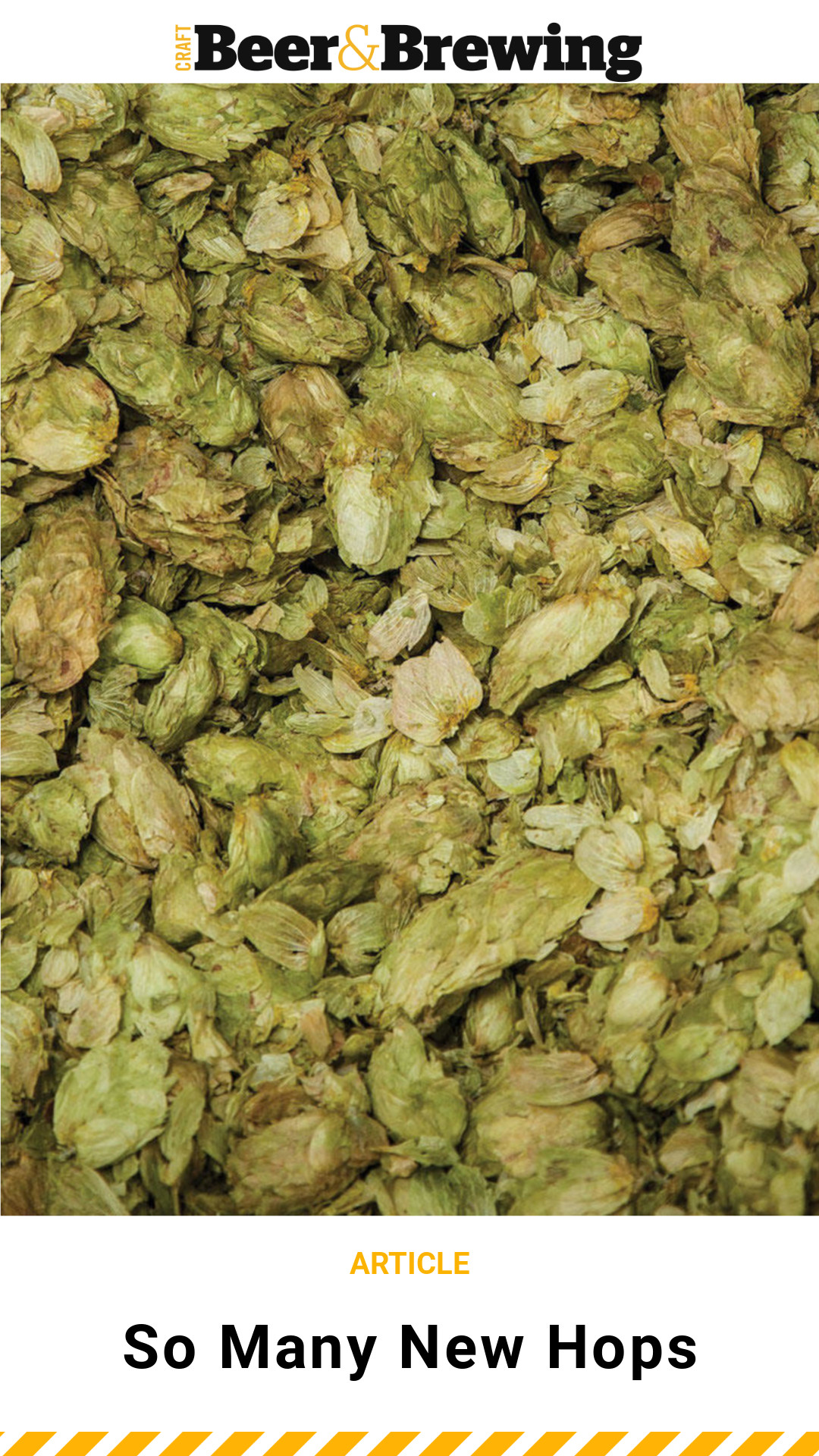 So Many New Hops | Craft Beer & Brewing