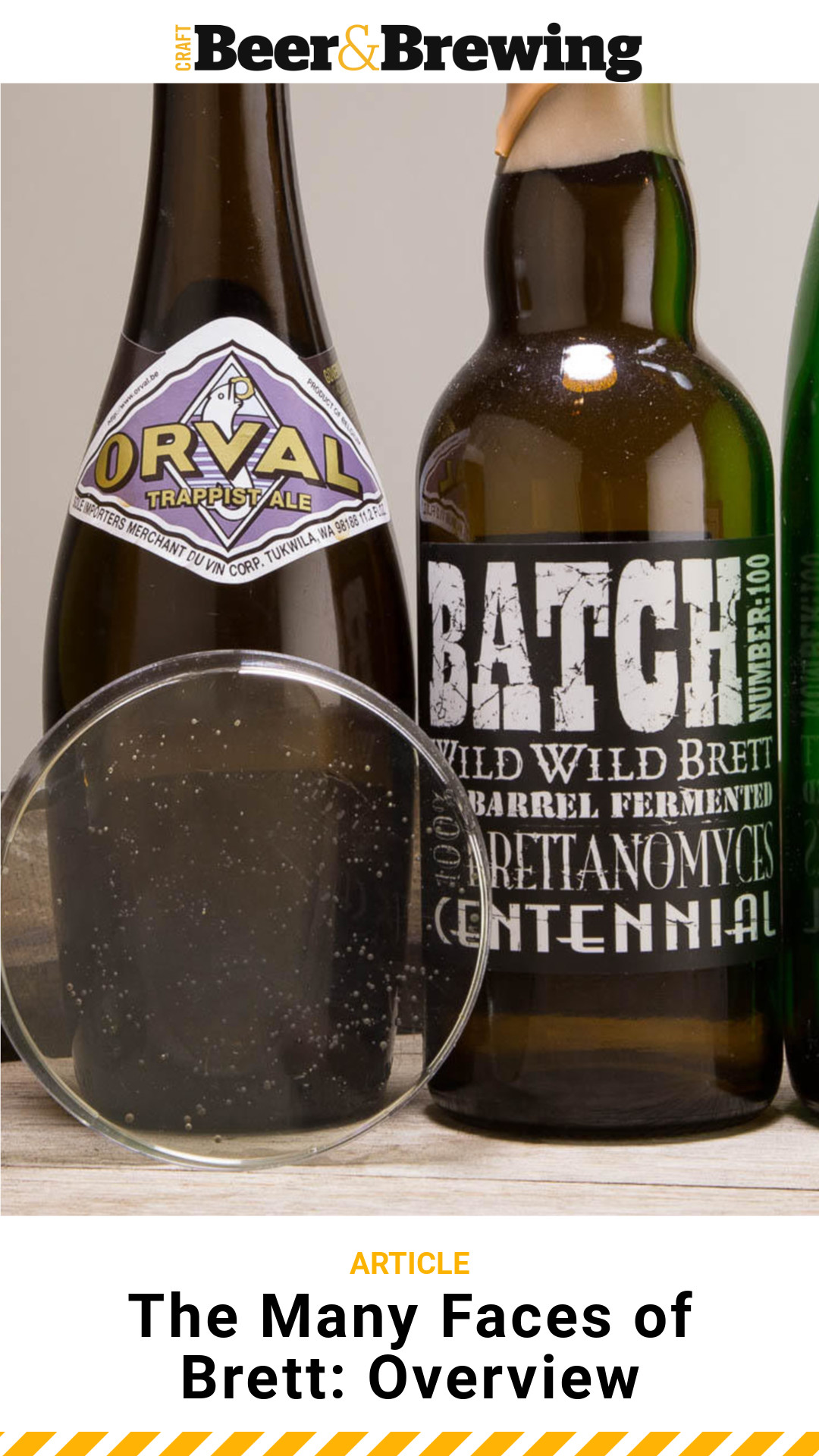 The Many Faces of Brett: Overview | Craft Beer & Brewing