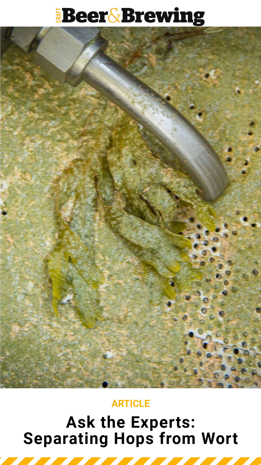 Ask the Experts: Separating Hops from Wort | Craft Beer & Brewing