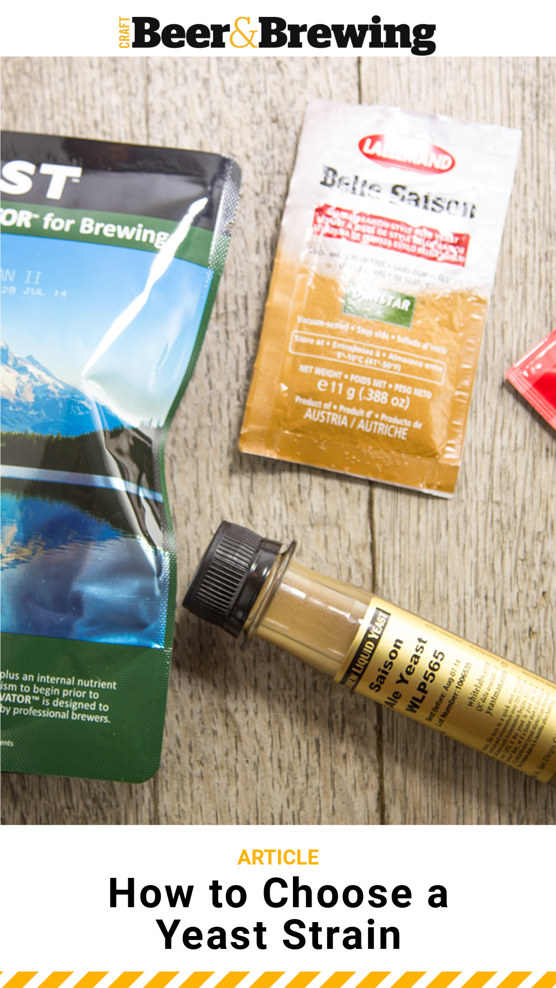How to Choose a Yeast Strain | Craft Beer & Brewing