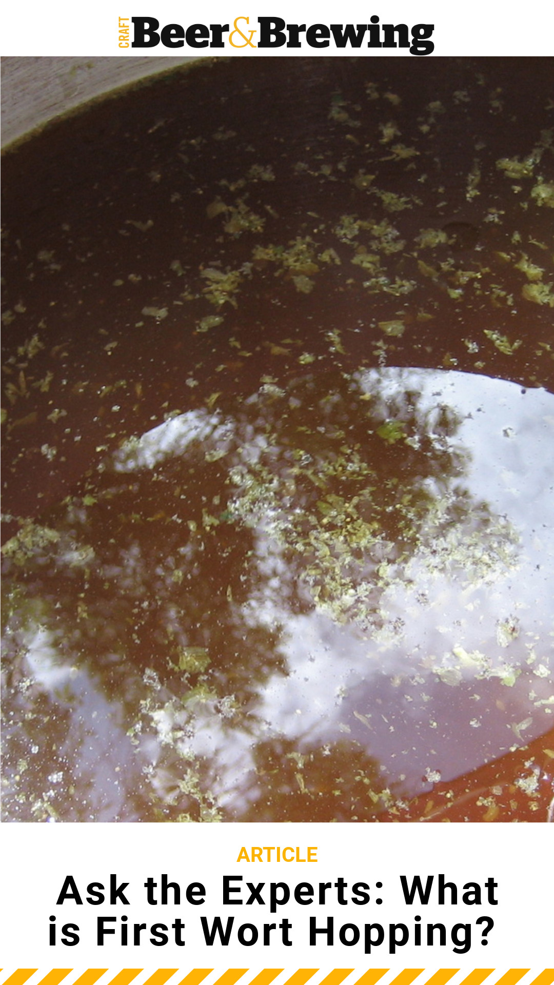 Ask the Experts: What is First Wort Hopping? | Craft Beer & Brewing