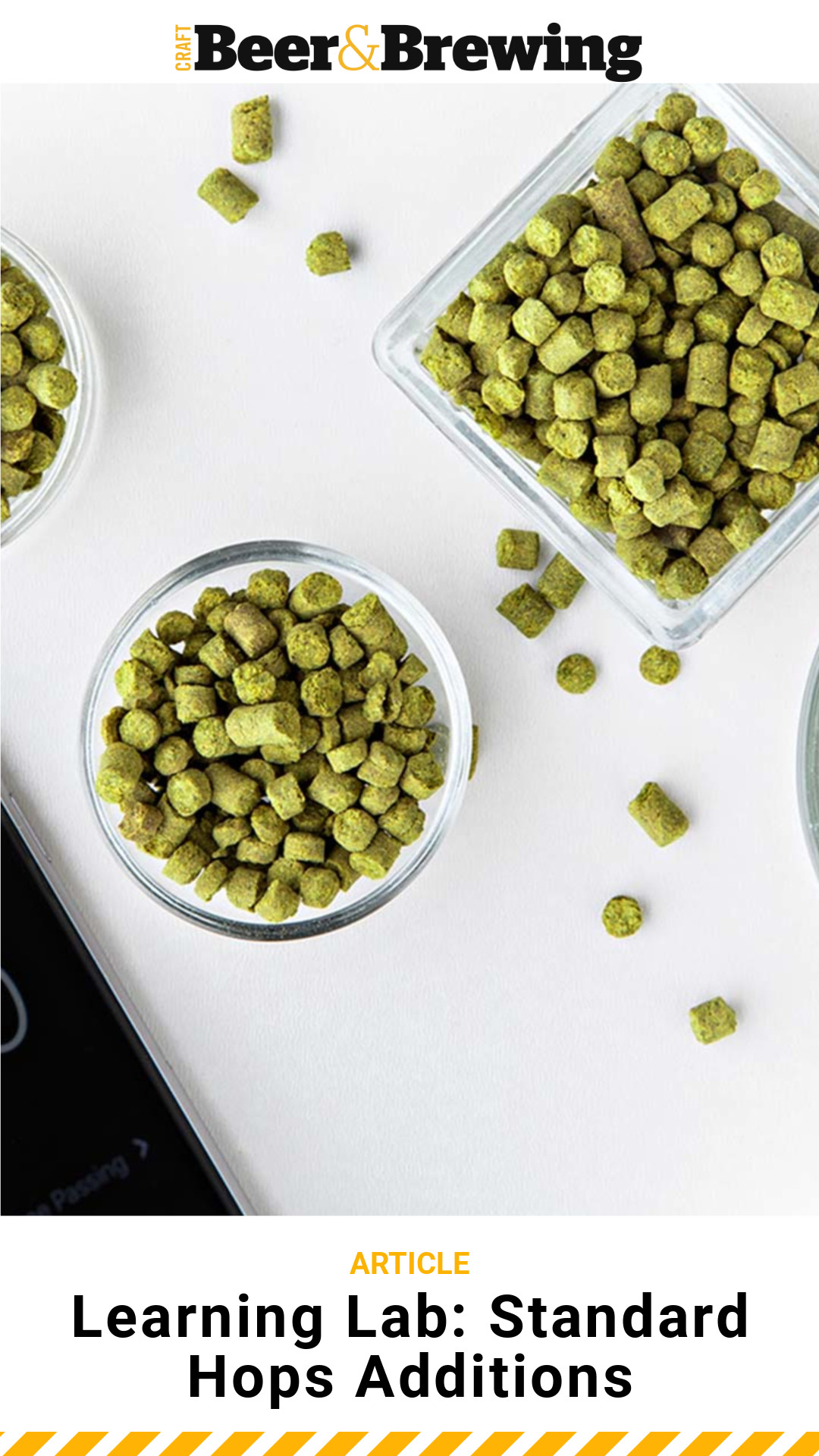 Learning Lab: Standard Hops Additions | Craft Beer & Brewing