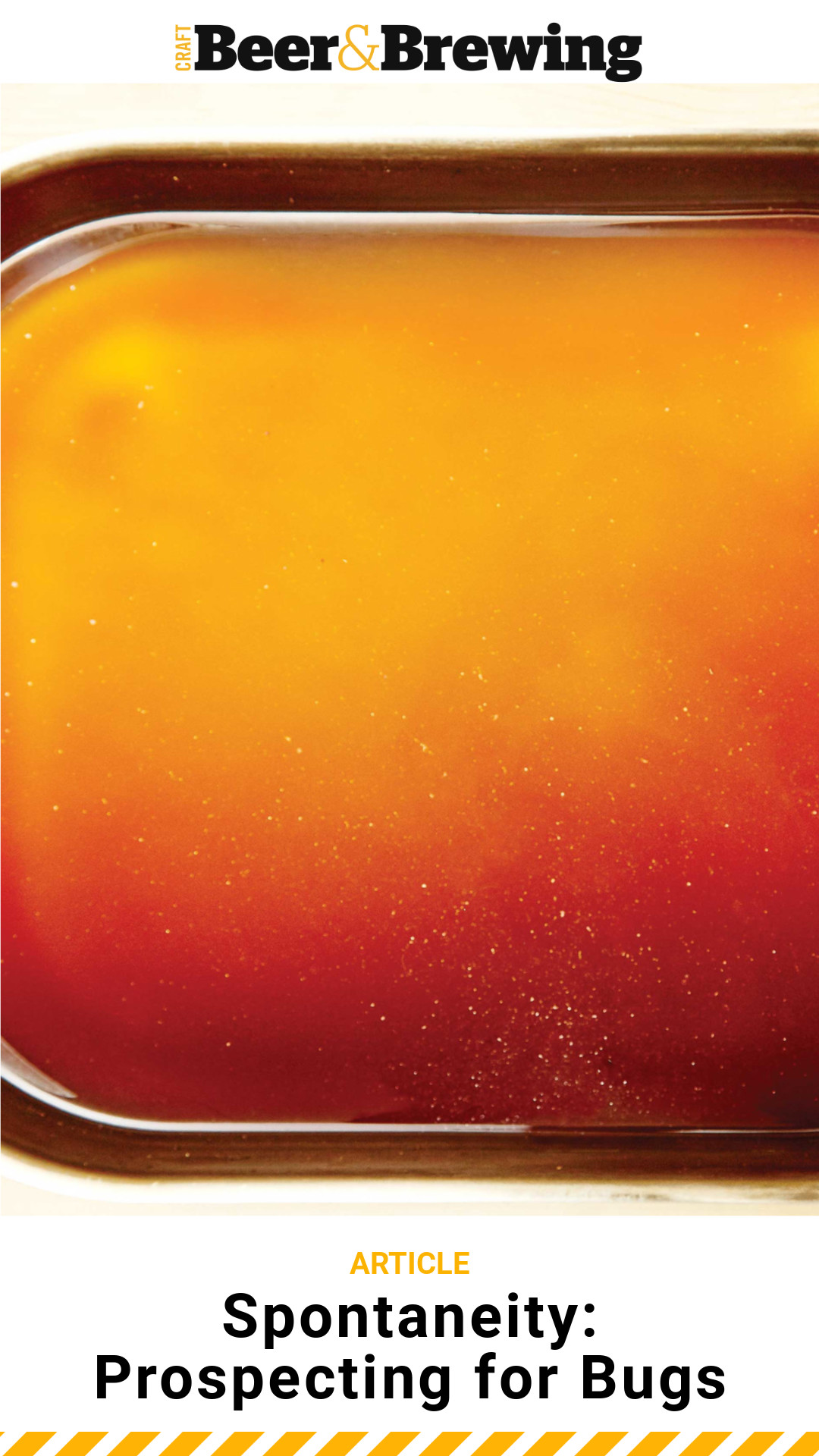 Spontaneity: Prospecting for Bugs | Craft Beer & Brewing