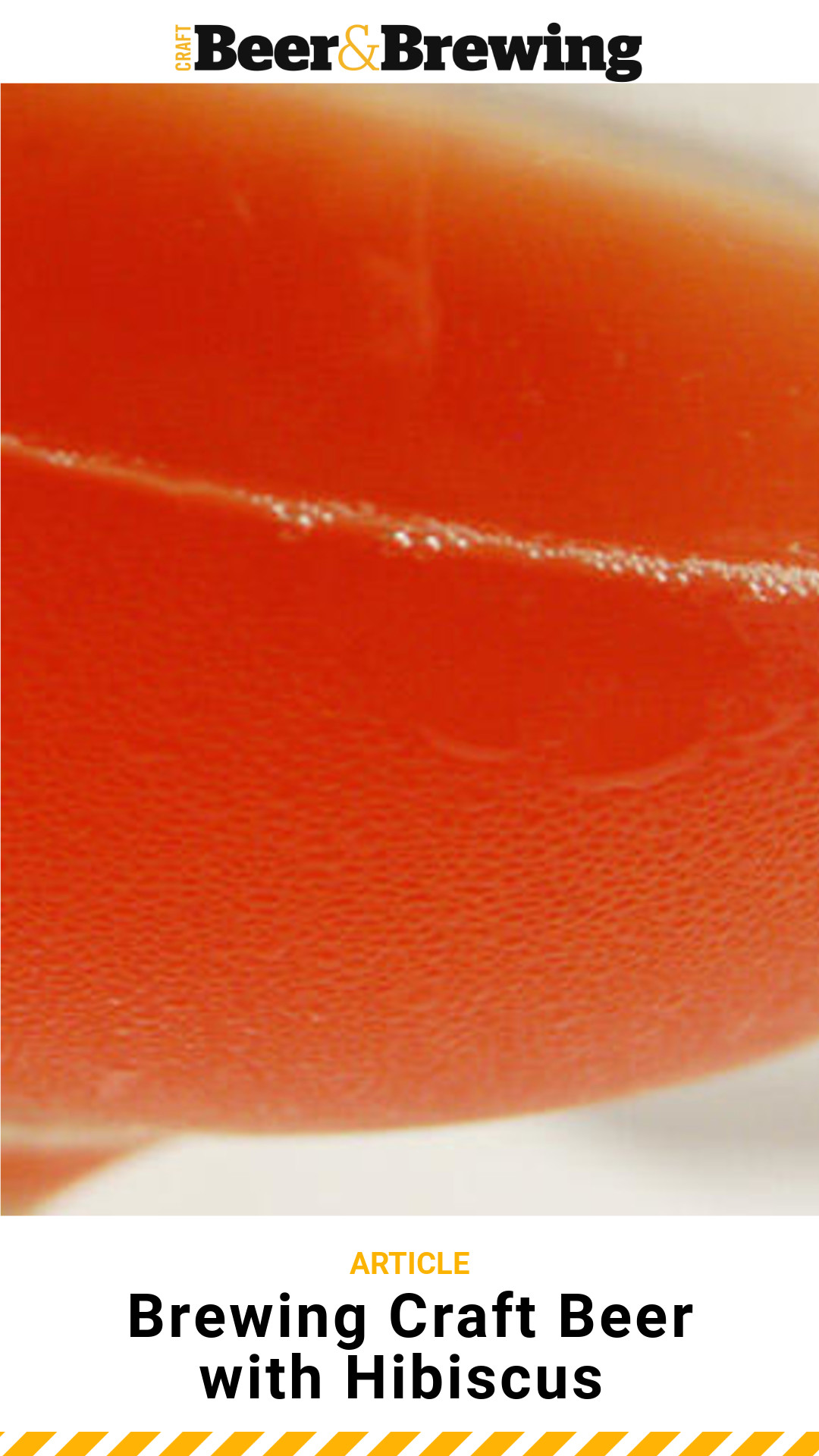 Brewing Craft Beer with Hibiscus | Craft Beer & Brewing