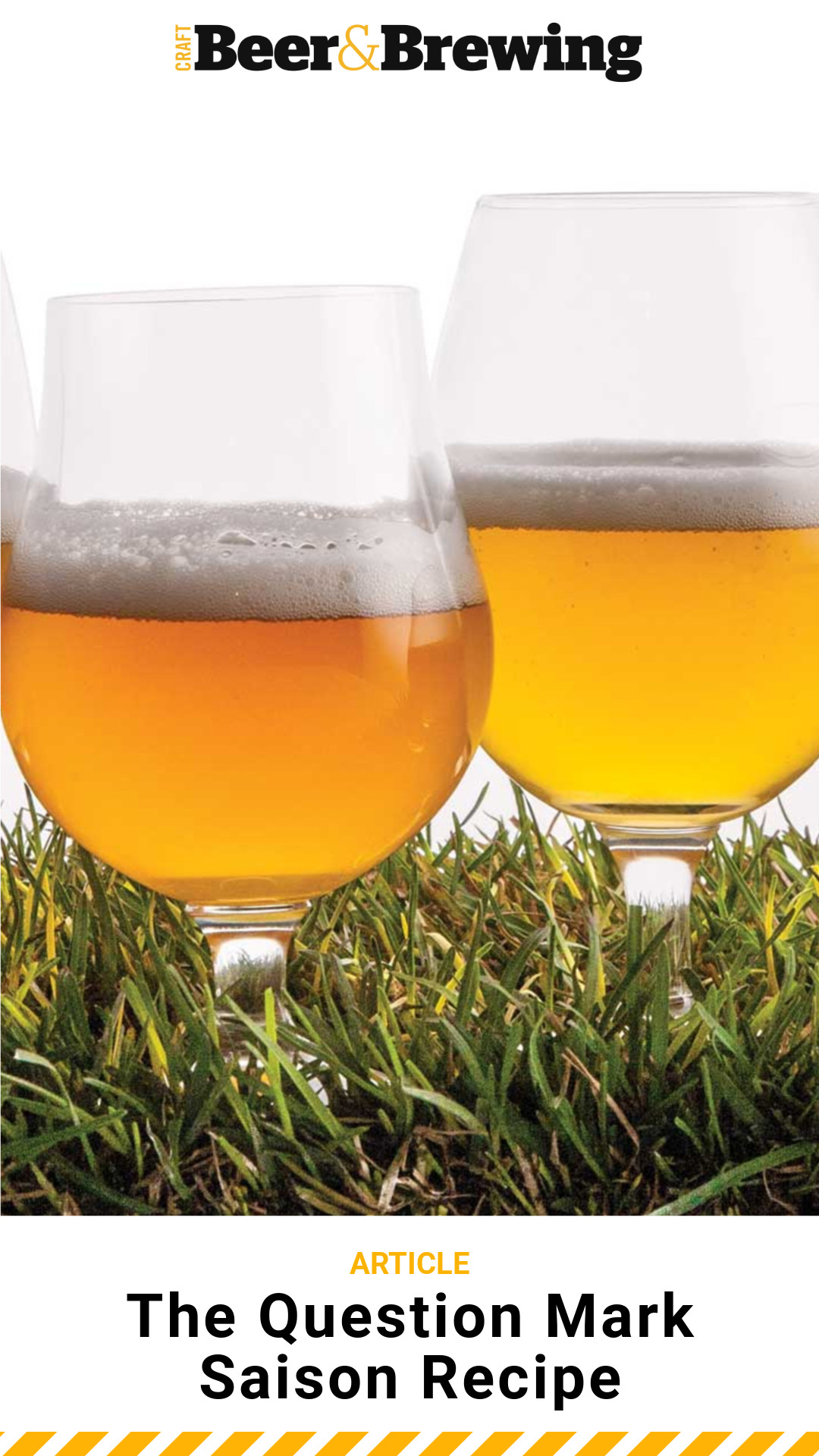 The Question Mark Saison Recipe | Craft Beer & Brewing