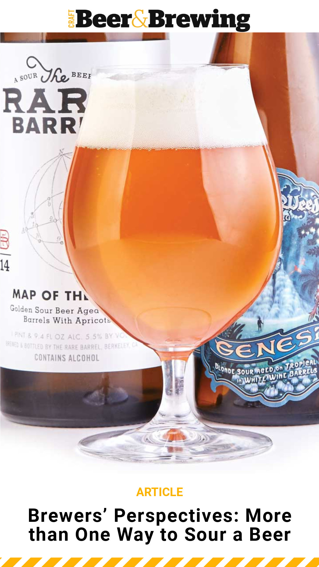 Brewers’ Perspectives: More than One Way to Sour a Beer | Craft Beer ...