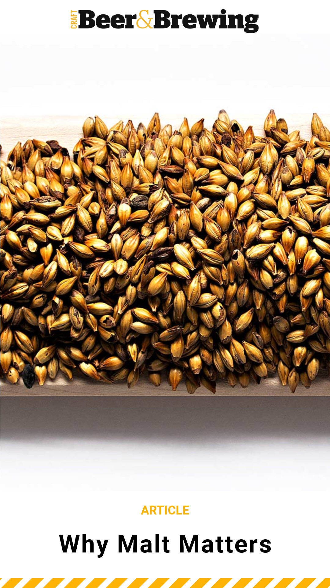 Why Malt Matters | Craft Beer & Brewing