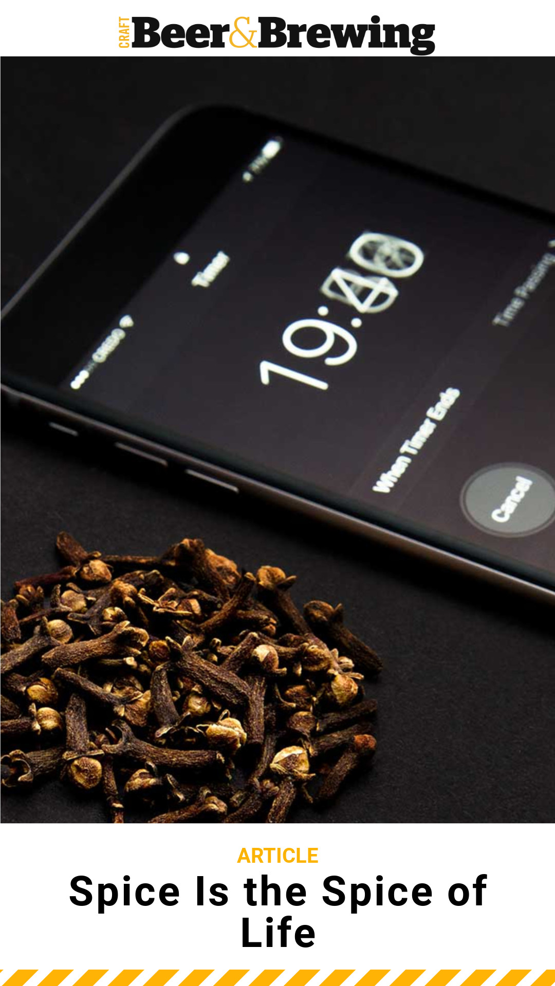 Spice Is the Spice of Life | Craft Beer & Brewing