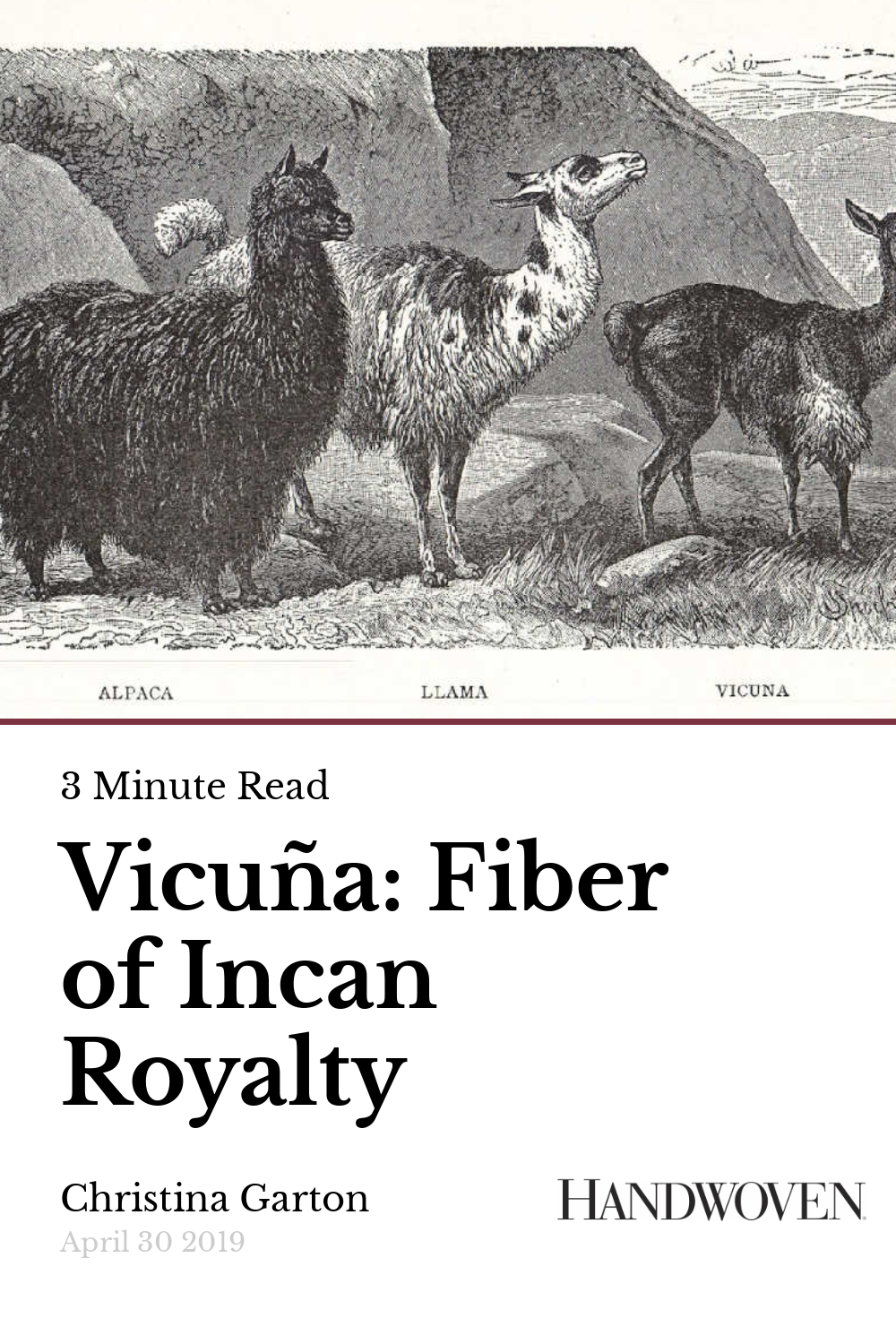 Vicuña: Fiber of Incan Royalty | Handwoven