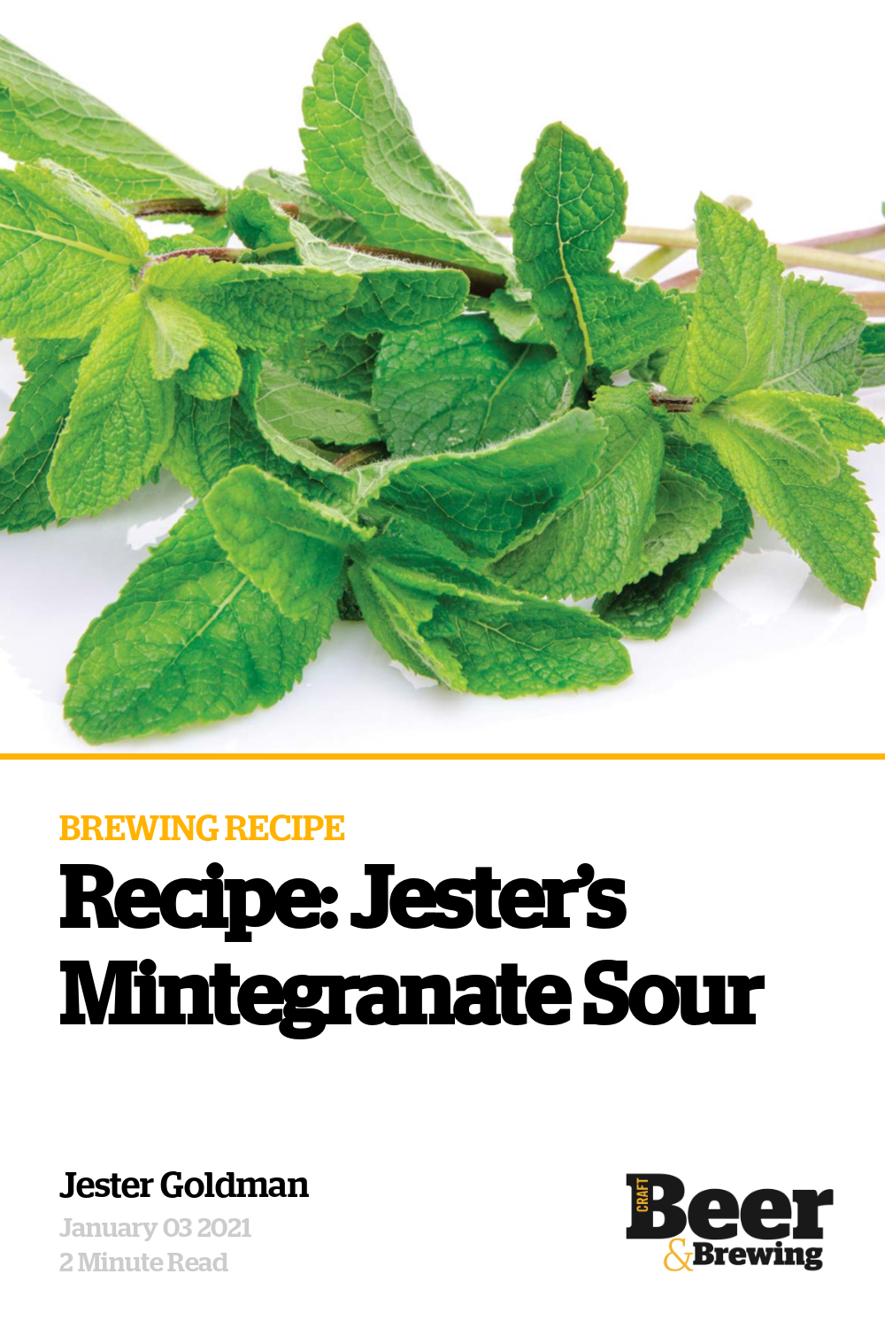 Recipe: Jester’s Mintegranate Sour | Craft Beer & Brewing