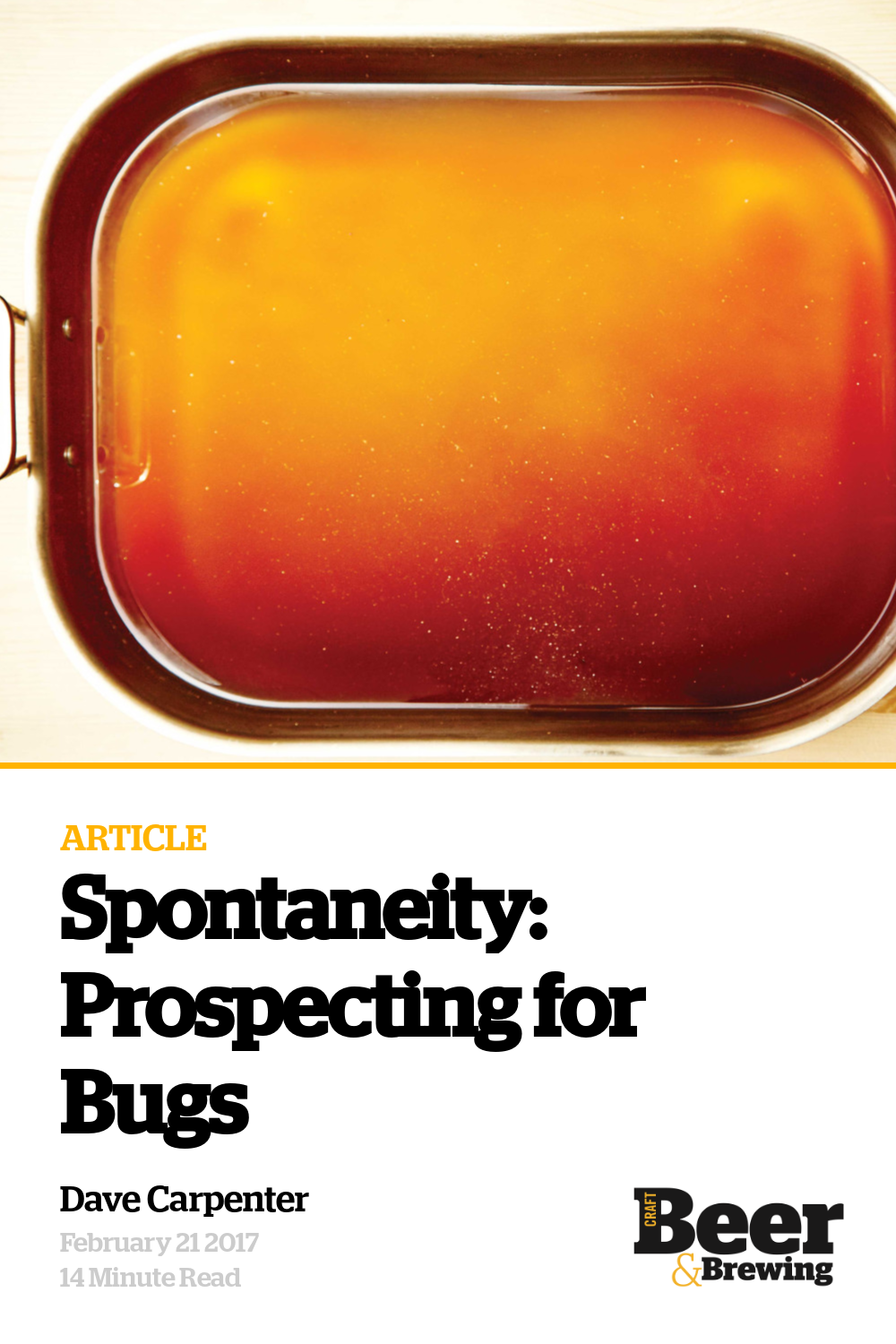 Spontaneity: Prospecting for Bugs | Craft Beer & Brewing