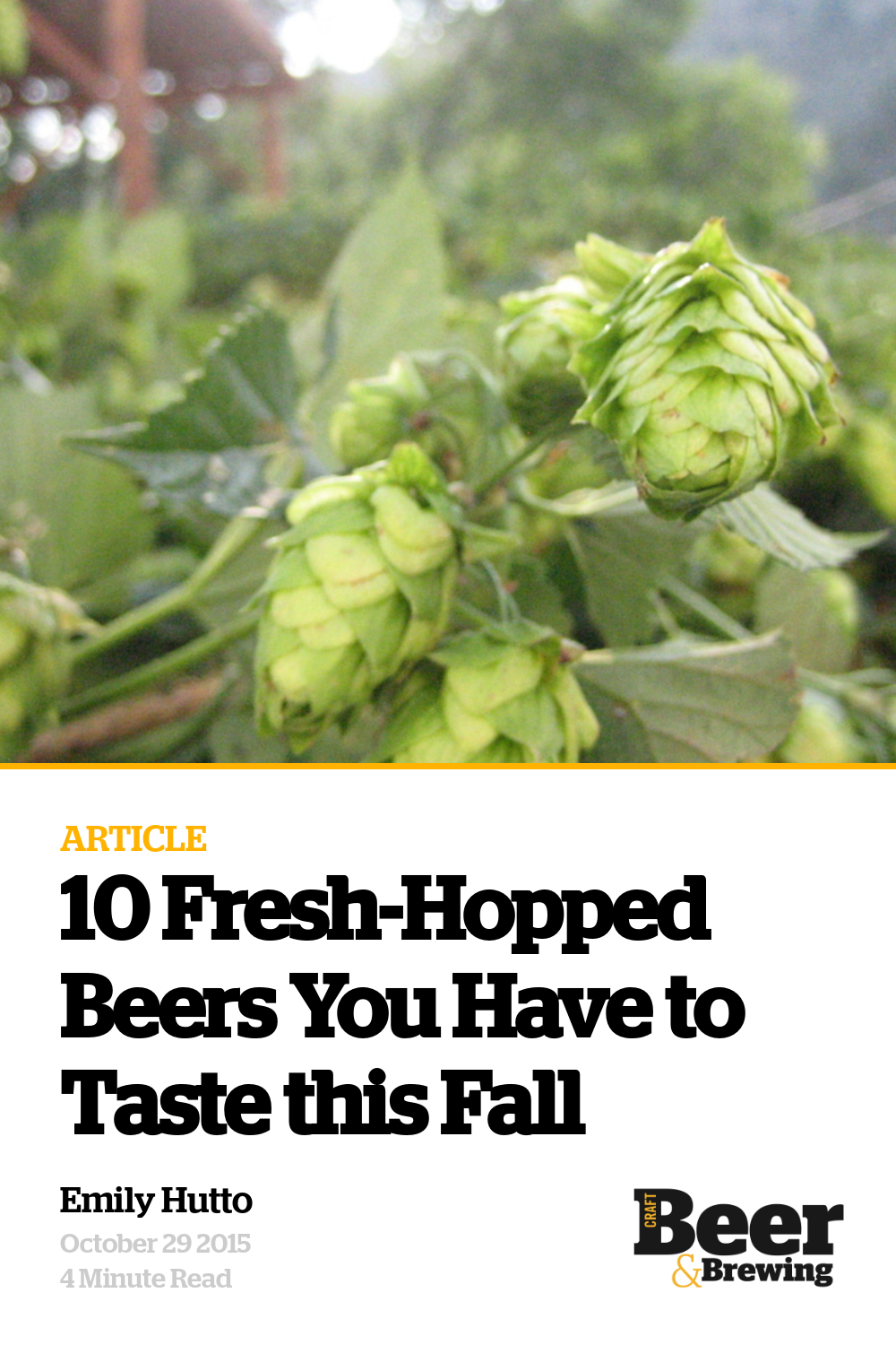 10 Fresh-Hopped Beers You Have to Taste this Fall | Craft Beer & Brewing