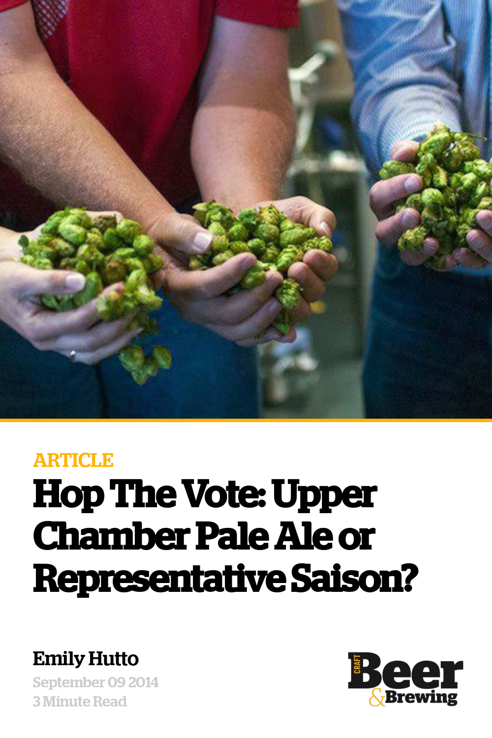 Hop The Vote: Upper Chamber Pale Ale or Representative Saison? | Craft ...