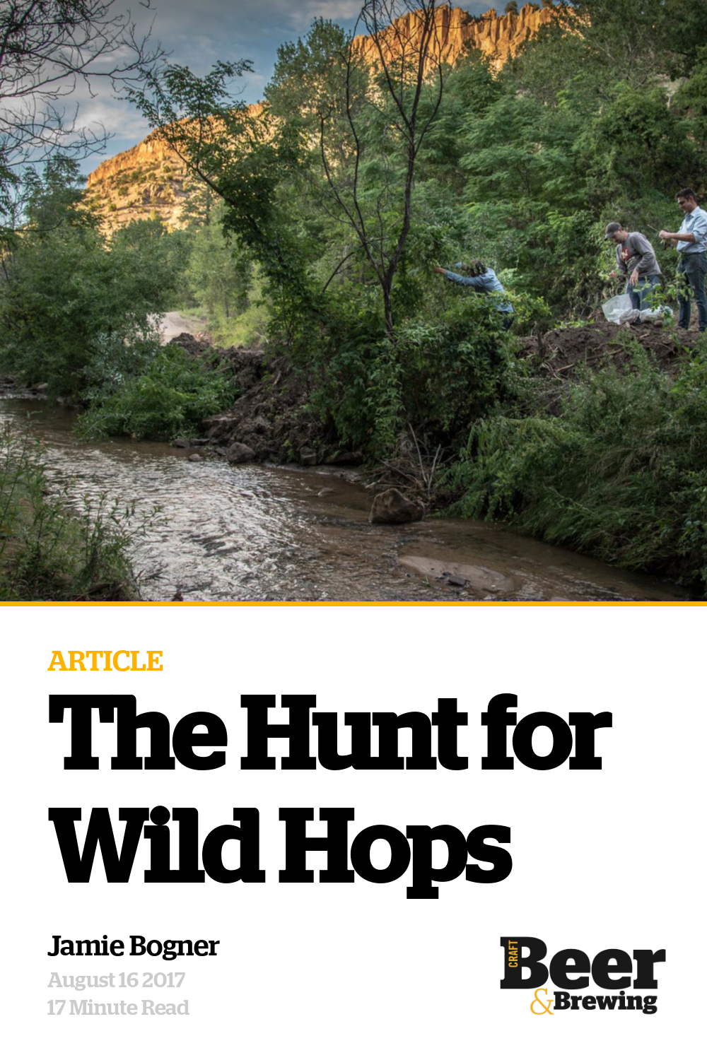 The Hunt for Wild Hops | Craft Beer & Brewing
