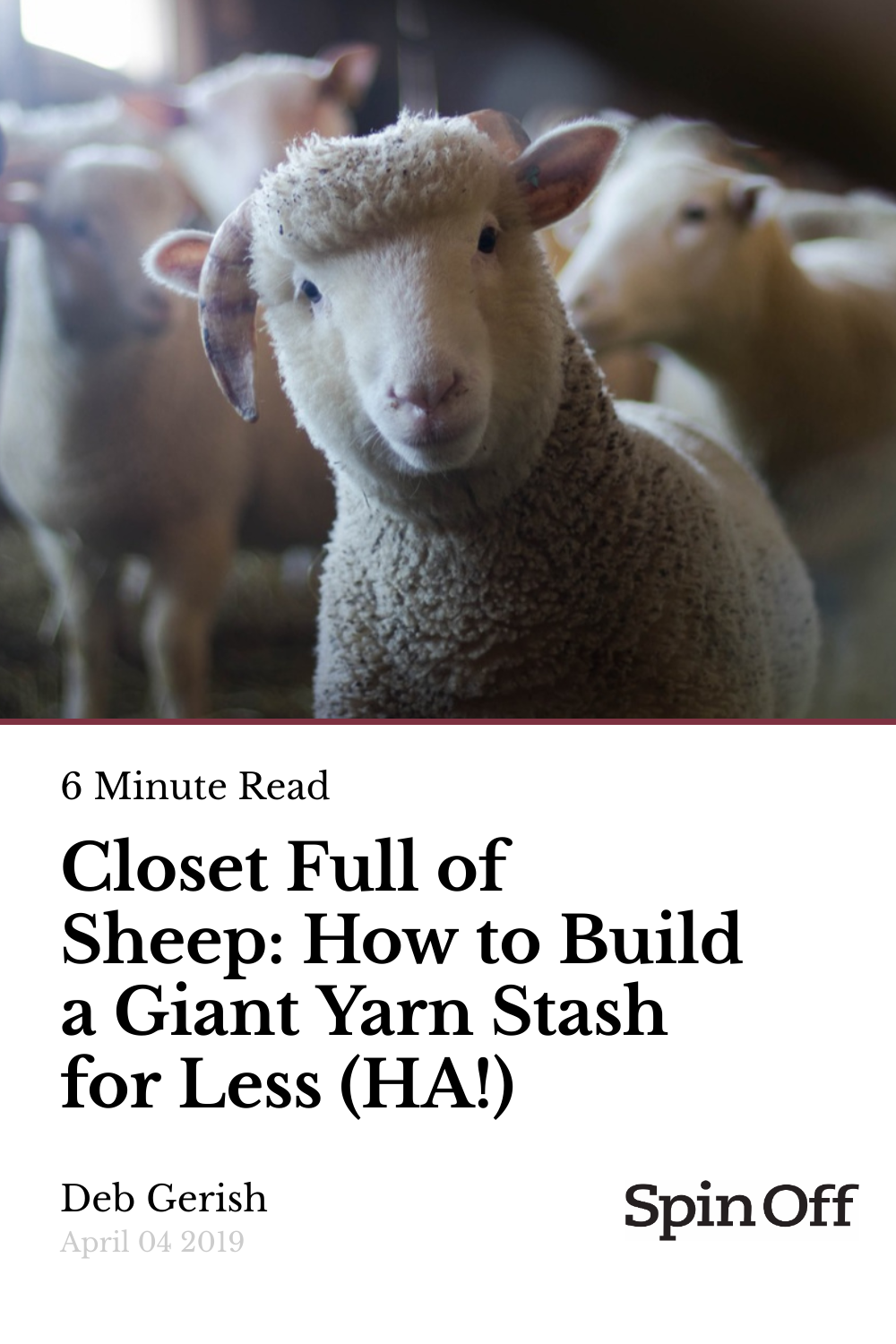 Closet Full of Sheep: How to Build a Giant Yarn Stash for Less (HA ...