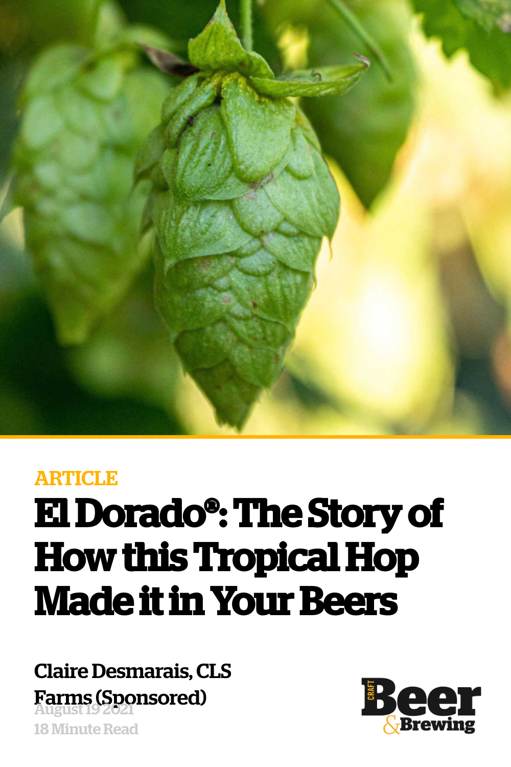 El Dorado®: The Story of How This Tropical Hop Made it in Your Beers ...
